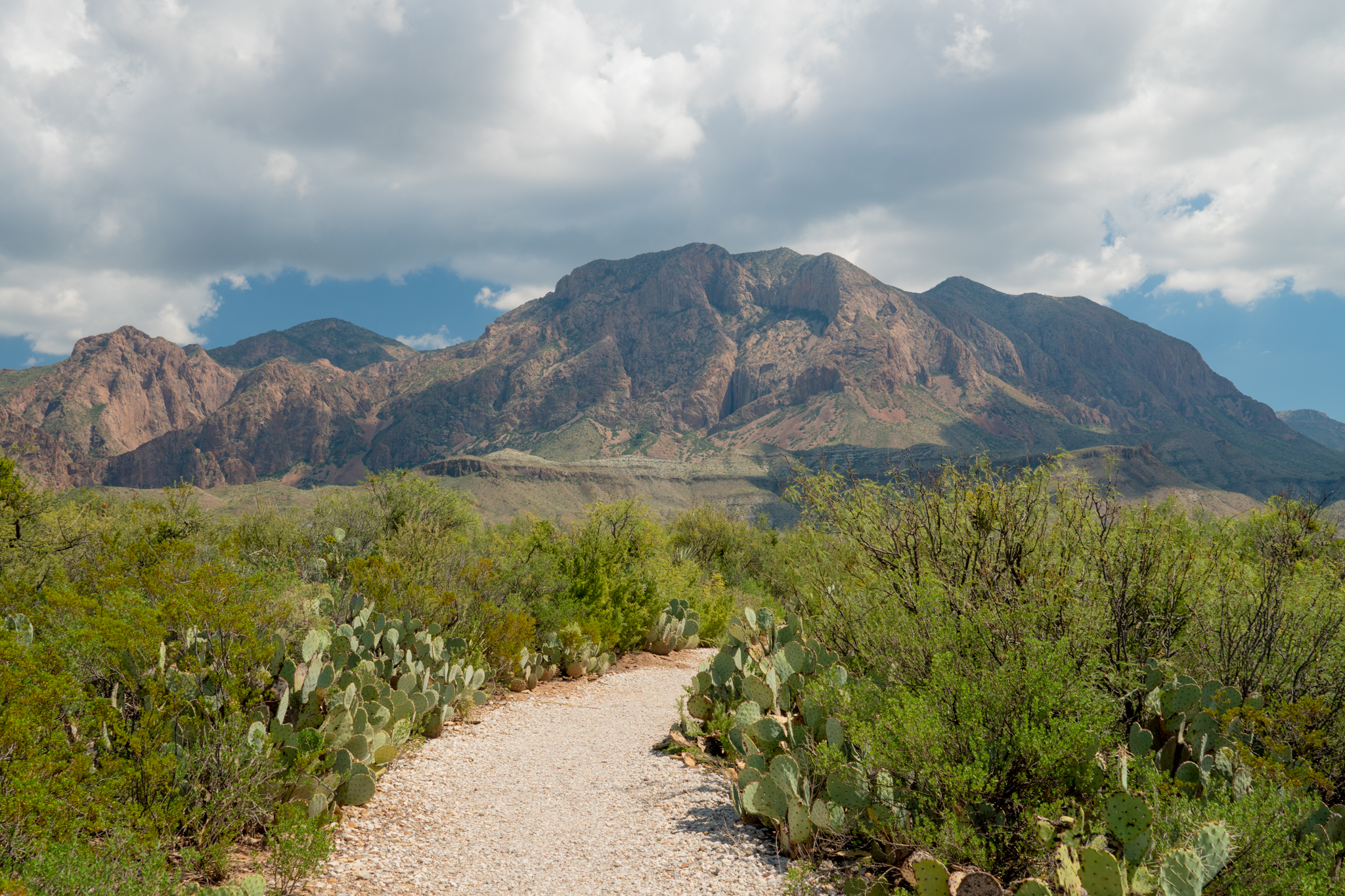 9 Best Hikes in Big Bend National Park