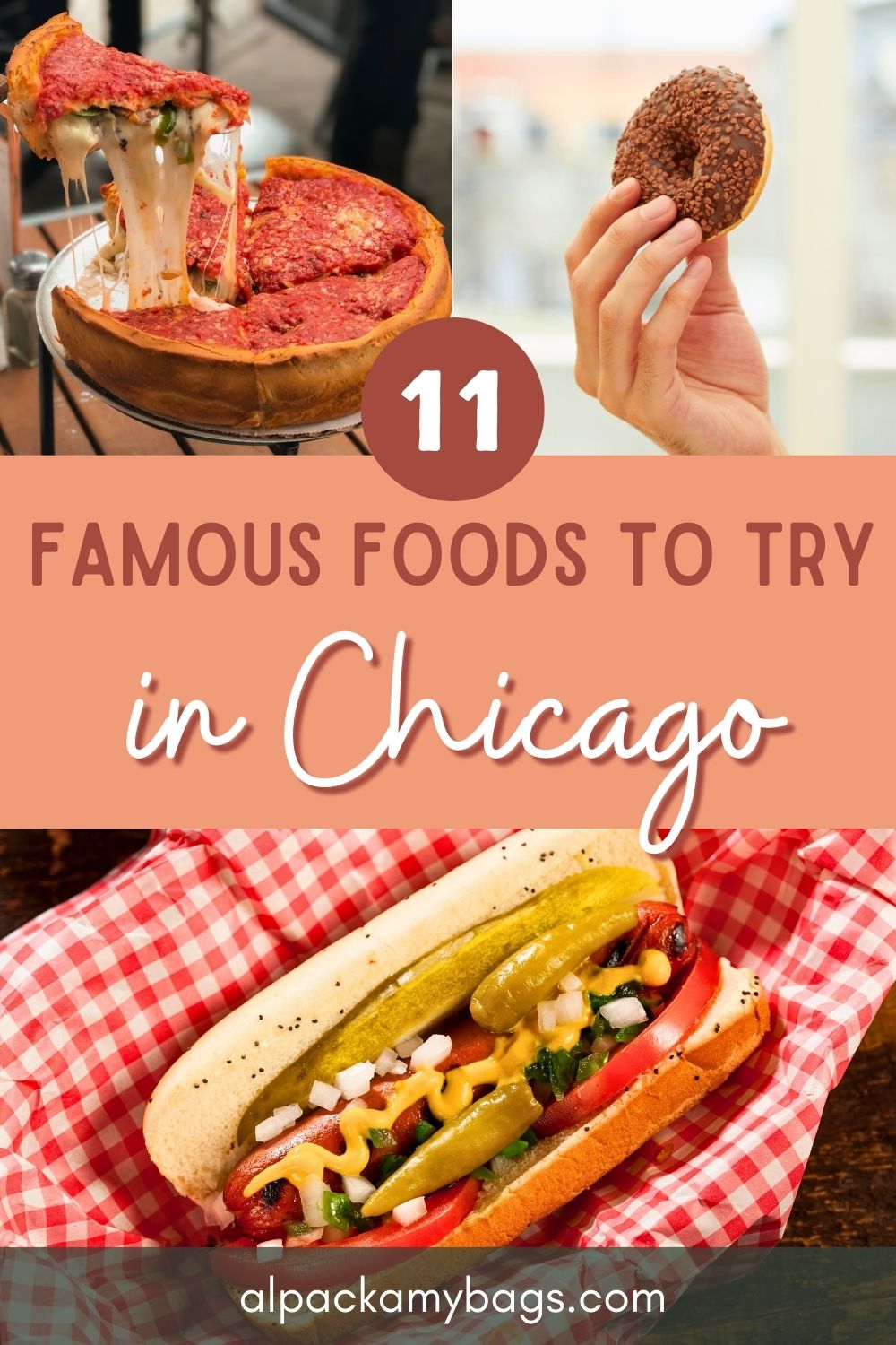 Top 11 Famous Foods in Chicago | Alpacka My Bags