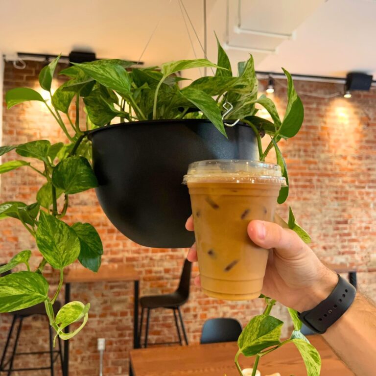 The 14 Best Coffee Shops in Quebec City