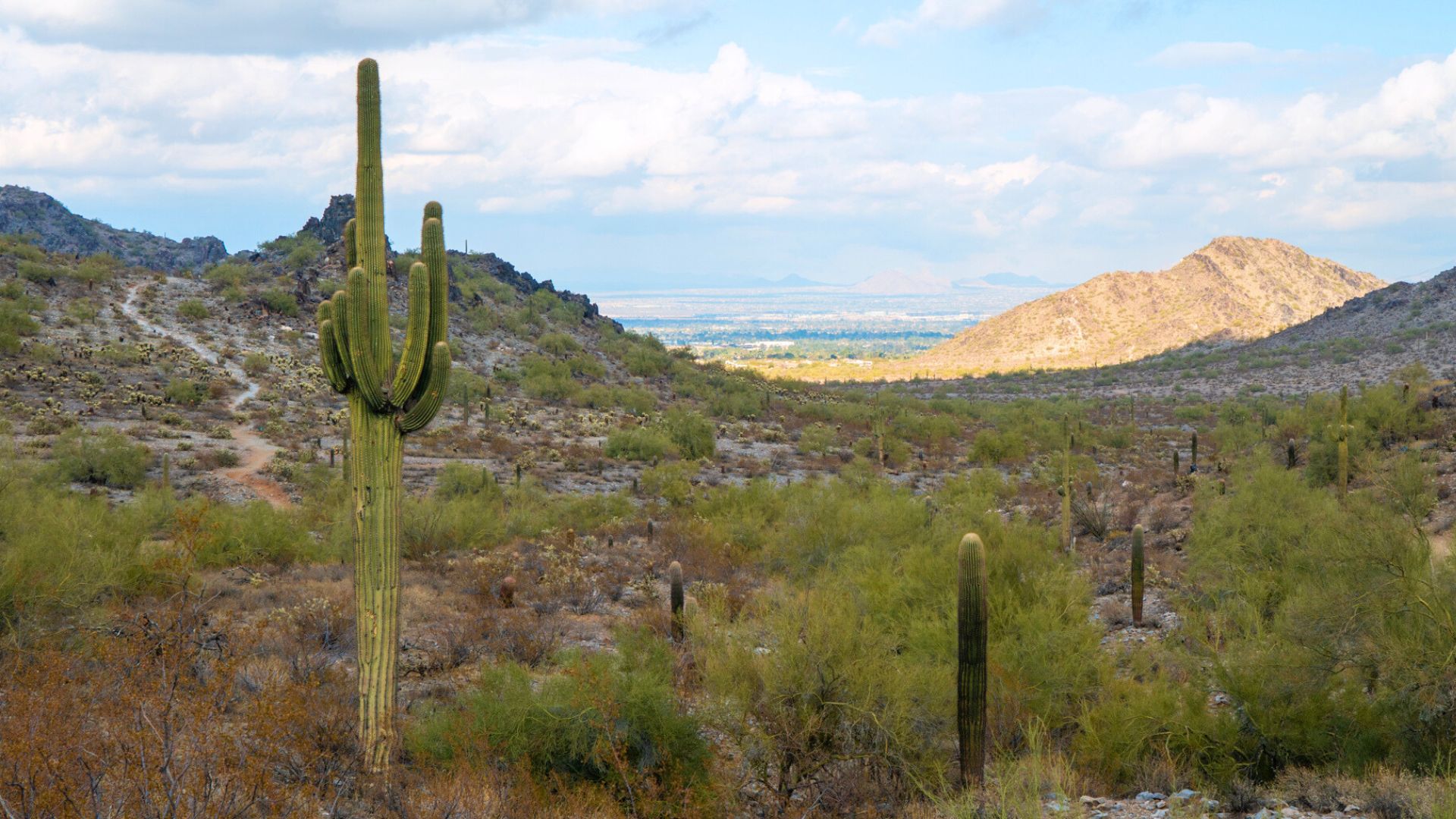 The Perfect 3 Days in Phoenix Itinerary