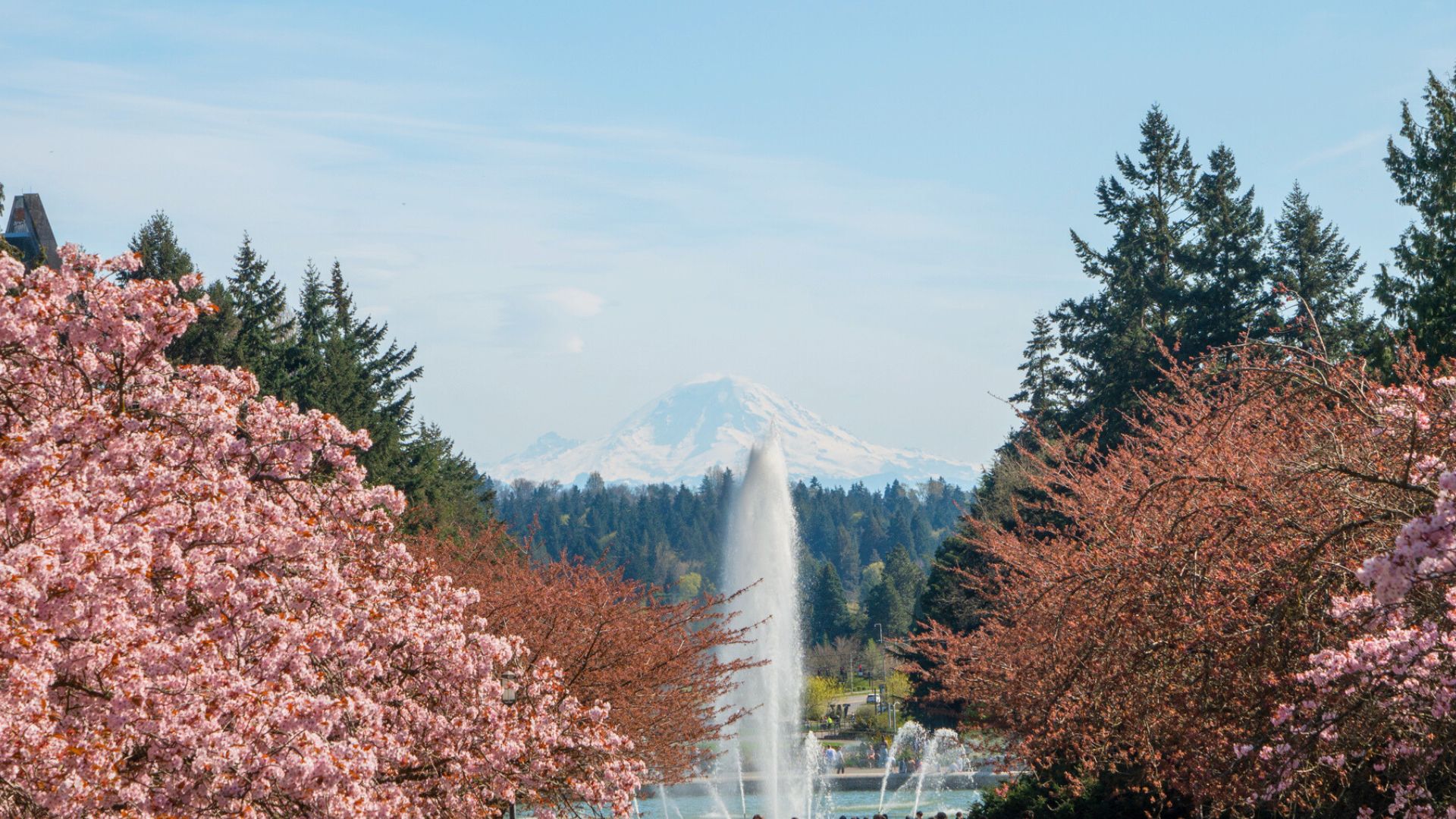 21 Outdoorsy Things to Do in Seattle
